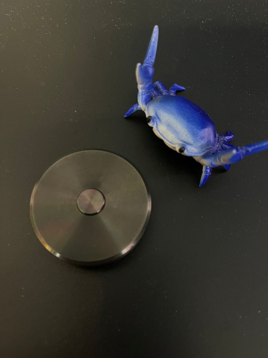 Fidget House - NOVO thorn coin - zirc - fidget toy – Plants Wake You Up