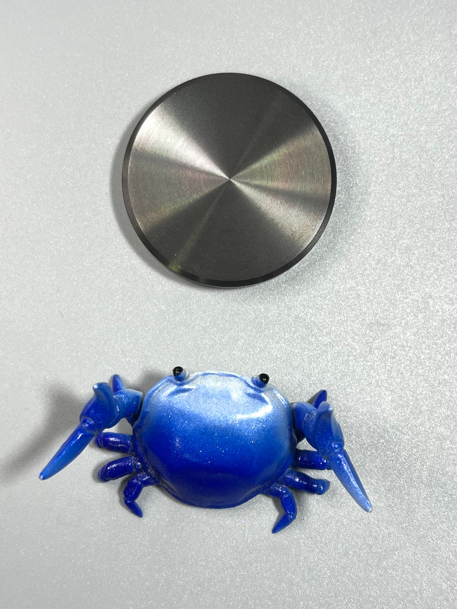 Fidget House - NOVO thorn coin - zirc - fidget toy – Plants Wake You Up